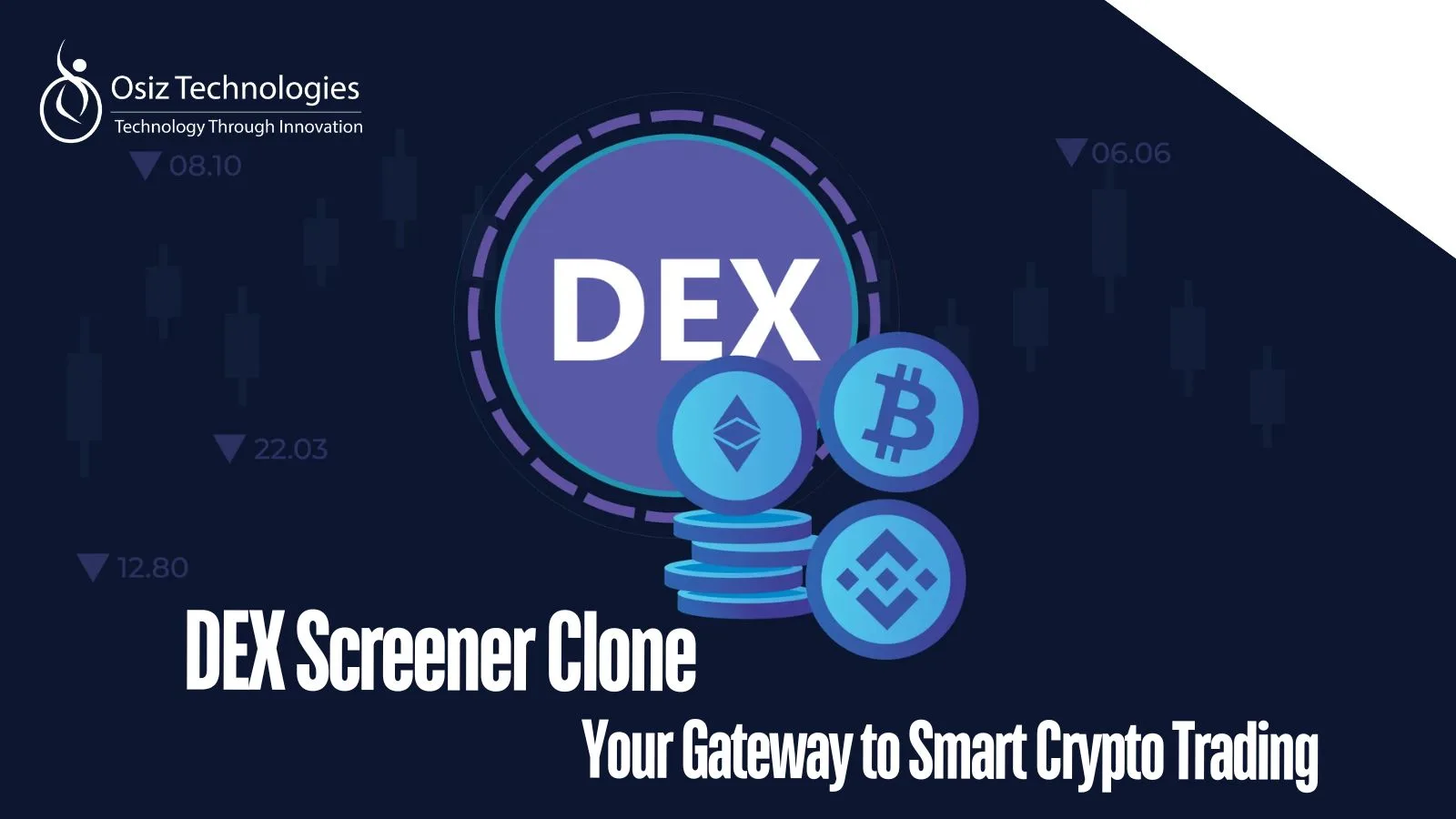 Flash USDT Trading Software Development Company | Osiz